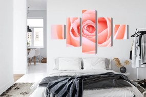 Vícedílný obraz Pastelová Růže Na 3D Makro Měřítku Nedostatek Nedostatek Plátno Canvas 150x90