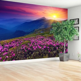 Fototapeta Rhododendron Květiny 104x70