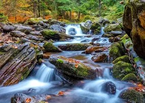 ENJOY Puzzle Lesní říčka na podzim / 1000 dílků / od 14 let