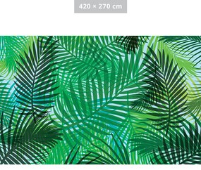 obrazová tapeta jungle Velikost: 420 × 270 cm