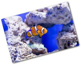 Wallmuralia Kuchyňská deska skleněná Nemo korálový útes 80x52 cm