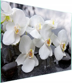 Skleněná Krájecí Deska 52x30 Orchidej Tvrzené Sklo