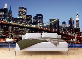 Fototapeta na zed' Výhled na Brooklynský Most | 360 x 254 cm | DFTS0107