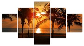 Obraz palmy v západu slunce (125x70 cm)