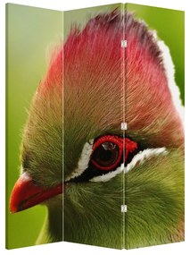 Paraván - Barevný pták (126x170 cm)