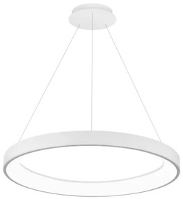 Závěsné LED svítidlo Palnas Dita Barva: Bílá, Velikost: 78cm, Varianta: 3000-6500K Dálkové ovládání