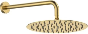 kielle Oudee I - Hlavová sprcha 246, sprchové rameno 360 mm, brushed gold 20133SE16