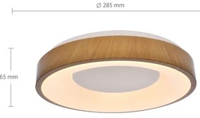 Brilagi - LED Stropní svítidlo DORIA LED/24W/230V