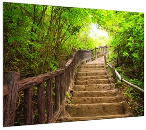 Letní obraz schodů v přírodě (70x50 cm)