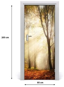 Fototapeta na dveře samolepící les podzim 85x205 cm
