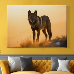 Obraz na plátně - Černý vlk na průzkumu FeelHappy.cz Velikost obrazu: 120 x 80 cm