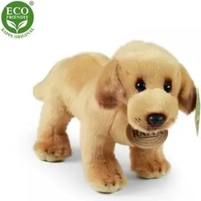 RAPPA Plyšový pes Labrador stojící 20 cm / ECO-FRIENDLY / od 0 měsíců