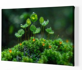 Obraz na plátně - Květinový lesík deštěm zkropený FeelHappy.cz Velikost obrazu: 120 x 80 cm