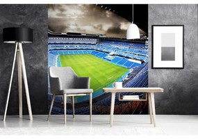DIMEX | Vliesová fototapeta na zeď Fotbalový stadión MS-3-0307 | 225 x 250 cm | modrá, zelená, černá