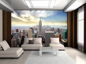 Fototapeta - New York Panorama (254x184 cm)