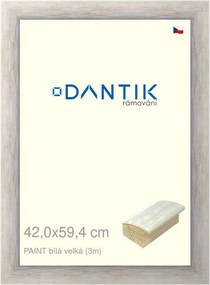 DANTIK rámeček 42x59,4 | PAINT bílá velká (Plexi Čiré)