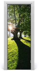 Fototapeta na dveře park 85x205 cm