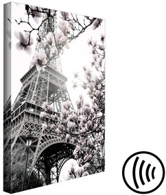 Obraz Pařížské magnólie (1-dílný) svislý - Jarní květiny s věží v pozadí