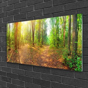 Obraz na skle Slunce Příroda Lesní Stezka 120x60 cm