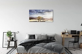 Obraz na skle panter mraky 140x70 cm
