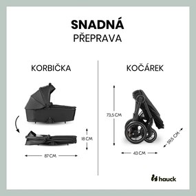 Hauck Kombinovaný kočárek Comfort N Care 2v1 black