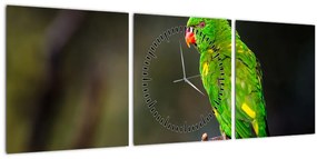 Obraz papouška na větvi (s hodinami) (90x30 cm)