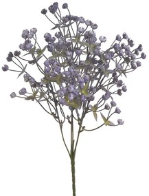 gypsophila trs - fialová