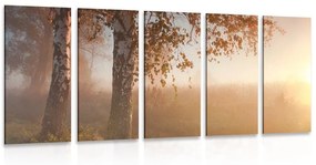 5-dílný obraz mlhavý podzimní les - 100x50 cm