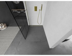 Mexen Kioto L, sprchová zástěna Walk-In 100 x 200 cm, 8mm čiré sklo černý vzor, ​​zlatý matný profil, 800-100-103-55-77