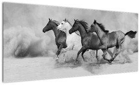 Obraz cválajících koňů (100x40cm)