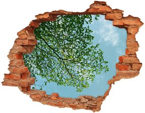 Wallmuralia Díra 3D ve zdi nálepka Listí na nebi 90x70 cm
