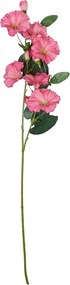 FLORISTA Povíjnice 76 cm - růžová