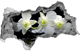 Wallmuralia Samolepící nálepka fototapeta Orchidej 95x73 cm