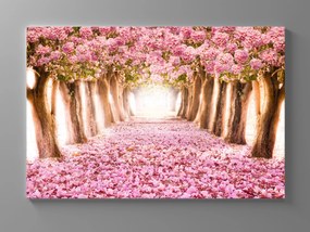 Liox Obraz romantické květy stromů Rozměr: 150 x 100 cm