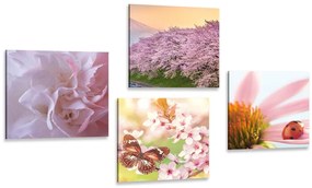 Set obrazů rozkvět přírody Varianta: 4x 60x60
