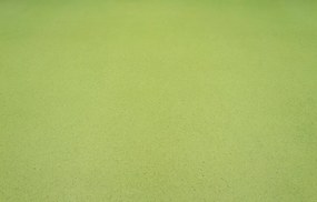 BEAUFLOR PVC podlaha - lino Xtreme Mira 550M - zelené ŠÍŘKA: 4 m, POUŽITÍ: Zátěžové