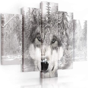 Obraz na plátně pětidílný Vlčí lesní zvíře šedé - 200x100 cm