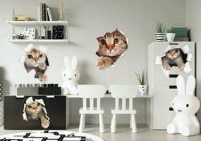 Dekorační nálepka na zeď zvědavé kočky 60 x 120 cm