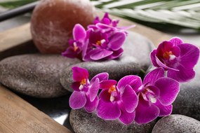 Fototapeta nádherná orchidej a Zen kameny - 300x200 cm