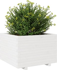 Zahradní truhlík bílý 70 x 70 x 49,5 cm masivní borové dřevo 3282525
