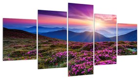 Obraz horské rozkvetlé krajiny (150x80 cm)