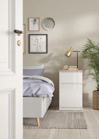 FALCO Noční stolek Simplicity 221 bílý lesk/jackson hickory