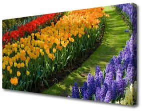 Obraz na plátně Květiny Zahrada Tulipány 100x50 cm