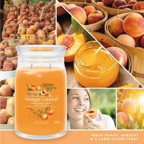 Yankee Candle Signature svíčka velká Farm Fresh Peach, 567g