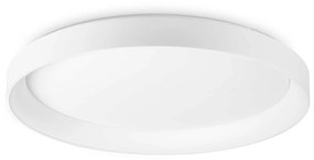 Ideal Lux Stropní LED svítidlo ZIGGY ⌀100cm Barva: Bílá