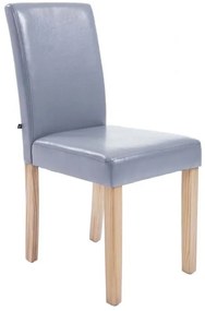 Bhm germany Jídelní židle Ina, syntetická kůže, šedá