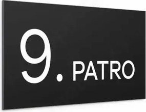 ACCEPT Označení podlaží "9. PATRO" - stříbrná tabulka - černý popis