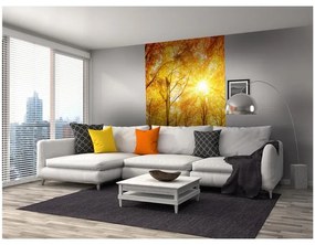 DIMEX | Vliesová fototapeta na zeď Slunečný les MS-2-0067  | 150 x 250 cm | žlutá, oranžová, zelená