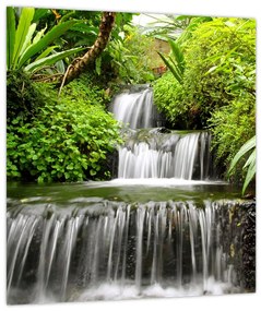 Obraz - Vodopád v deštném lese (30x30 cm)