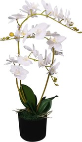 vidaXL Umělá rostlina orchidej s květináčem 65 cm [244423] Barva: Bílá